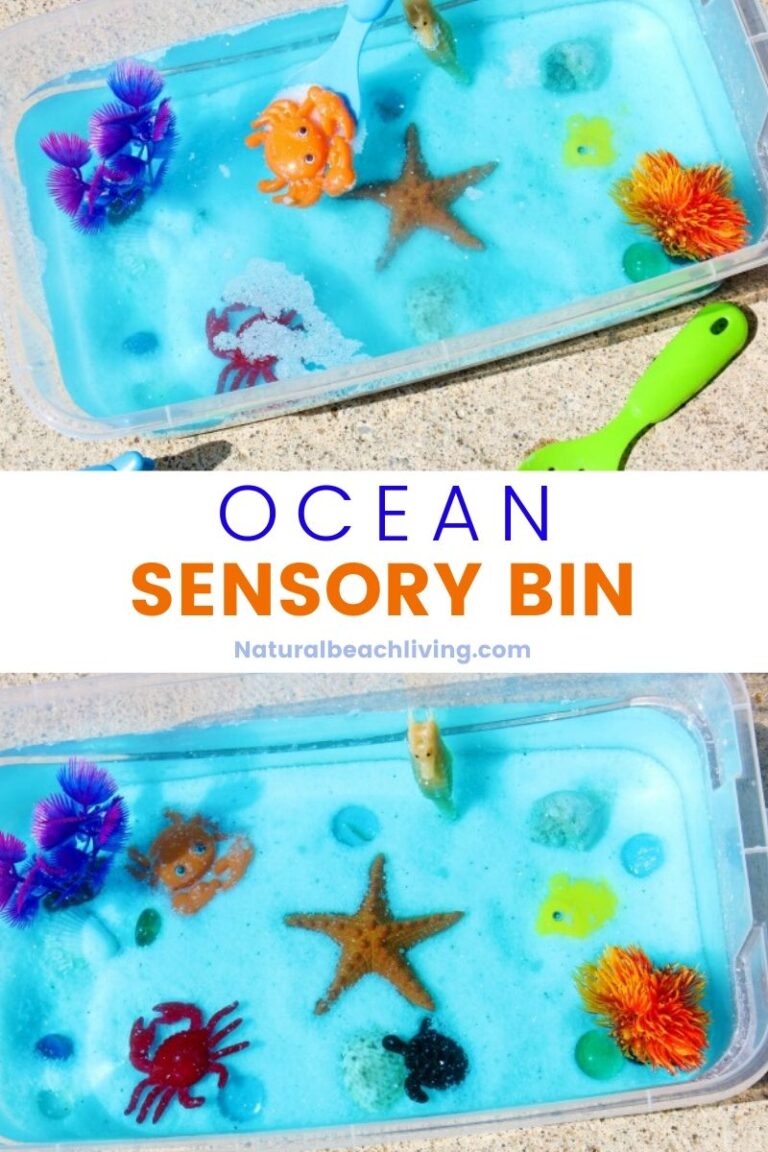 Ocean Sensory Bin - Easy Ocean Activities for Toddlers and Preschoolers ...