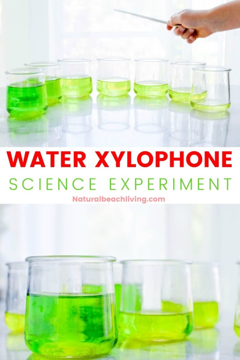 How to Make a Water Xylophone - Music and Science Experiments for Kids ...