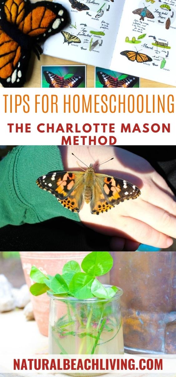 Homeschooling The Charlotte Mason Method - Everything You Need to Know ...