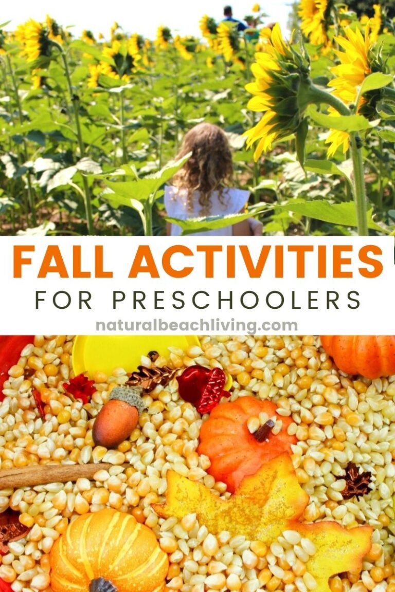 40+ Fun Fall Preschool Crafts - Natural Beach Living