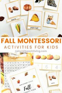 Fall Montessori Activities and Fall Lesson Plans for Preschool and ...