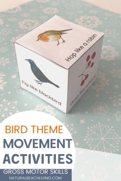 Montessori Winter Bird Activities for Preschool and Kindergarten ...
