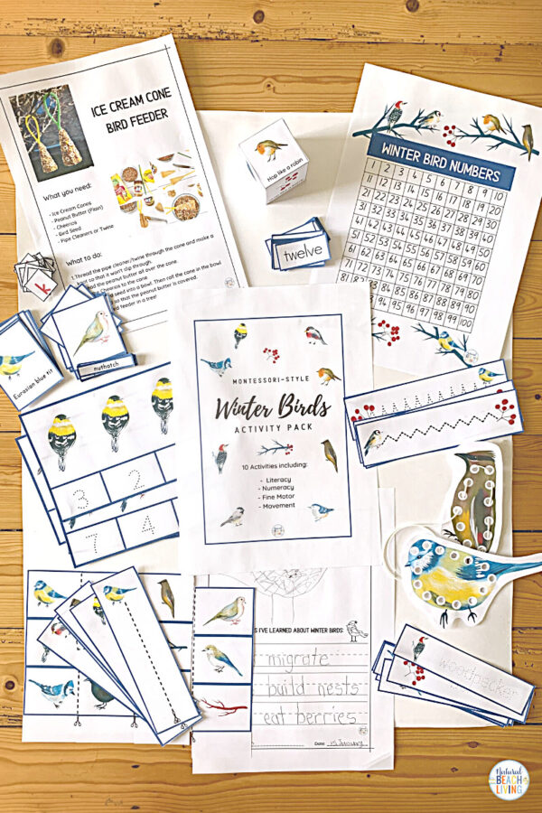 Montessori Winter Bird Activities for Preschool and Kindergarten ...