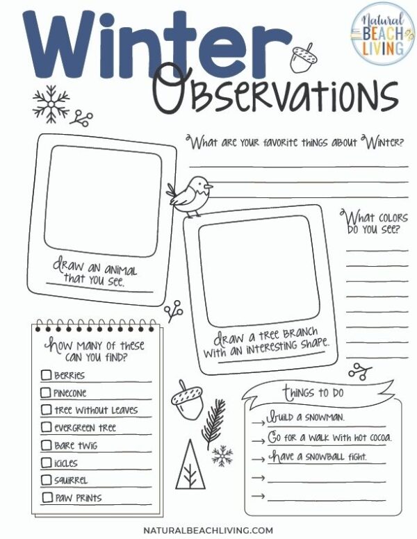 Winter Nature Study for Kids - Natural Beach Living