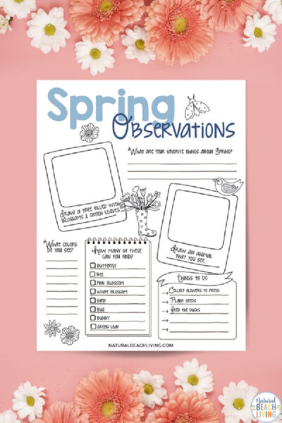 Spring Nature Study for Kids - Free Nature Observation Worksheet ...