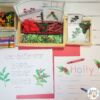 Holly Tree Theme for Preschool and Kindergarten - Natural Beach Living