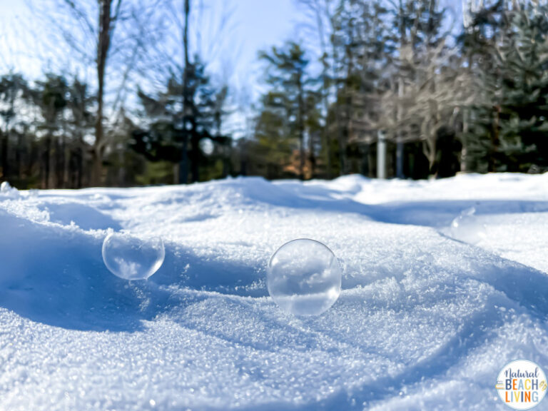 How to Make Frozen Bubbles - Winter Science Activities for Kids ...