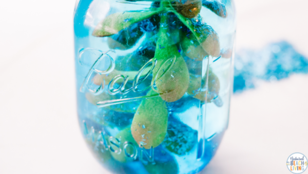 Ocean Sensory Bottle for Kids with Video - Natural Beach Living