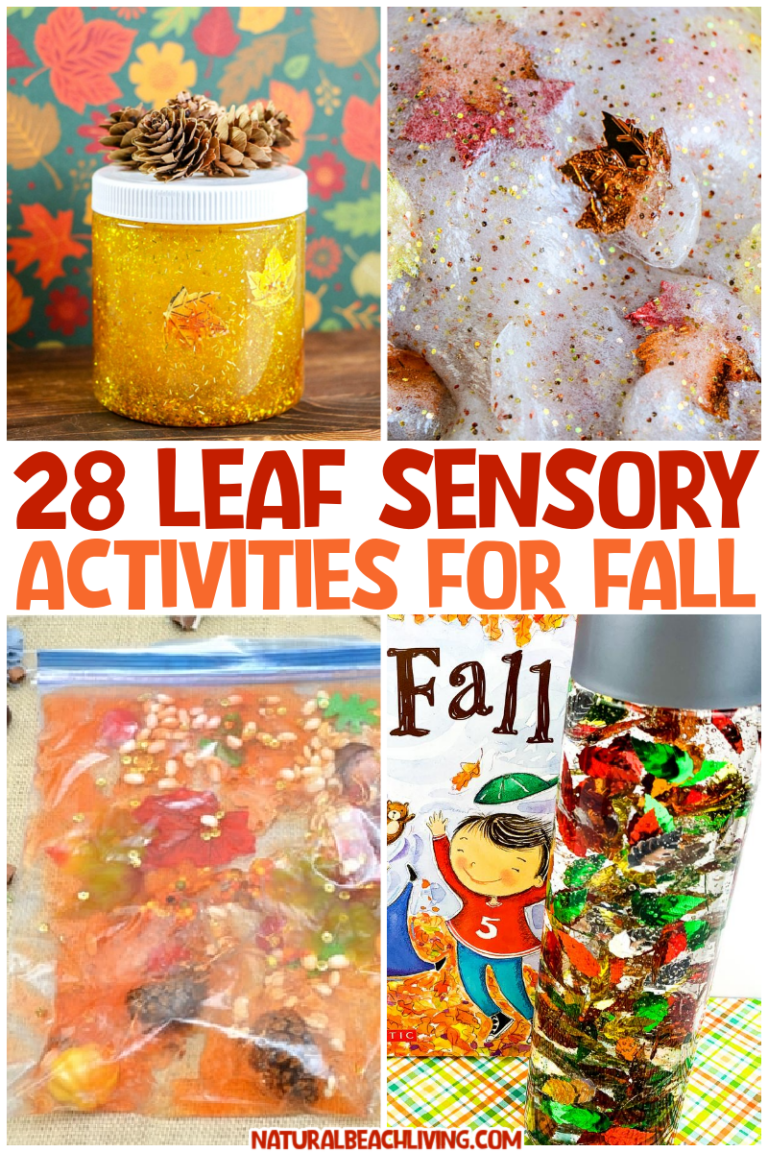 30 Leaf Sensory Activities - Leaf Activities for Kids - Natural Beach ...