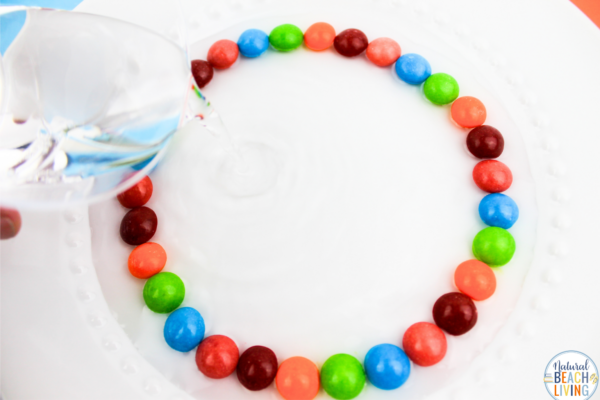 Skittles Rainbow Experiment - Science Activities for Kids - Natural ...