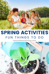 75+ Things To Do In Spring - Spring Bucket List Printable - Natural ...