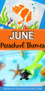 June Preschool Themes with Lesson Plans and Activities - Natural Beach ...