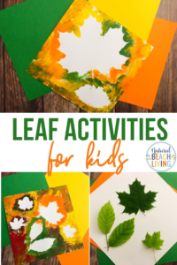 Leaf Painting for Kids - Easy Fall Leaf Art Projects - Natural Beach Living