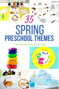35+ The Best Spring Preschool Themes and Lesson Plans - Natural Beach ...