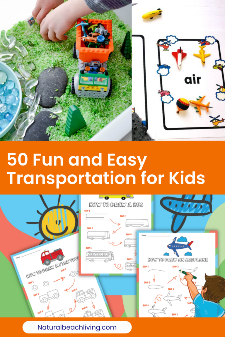 50+ Transportation Theme Preschool Crafts, Activities and Printables ...