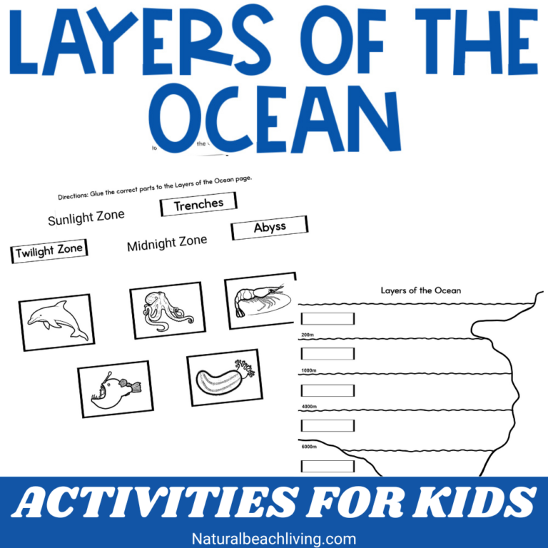 Layers of the Ocean for Kids Free Printables - Natural Beach Living