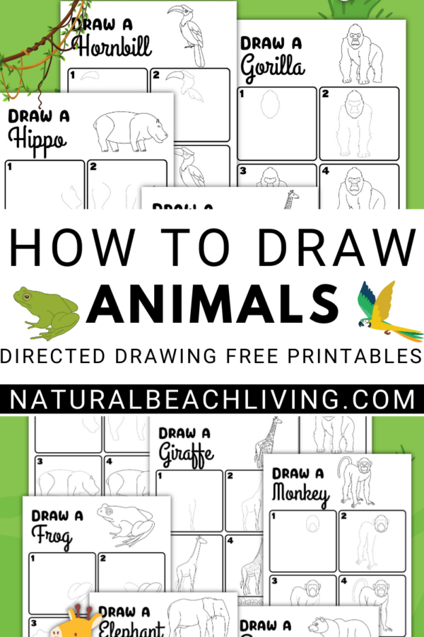 How to Draw Jungle Animals Step by Step Printables for Kids - Natural ...