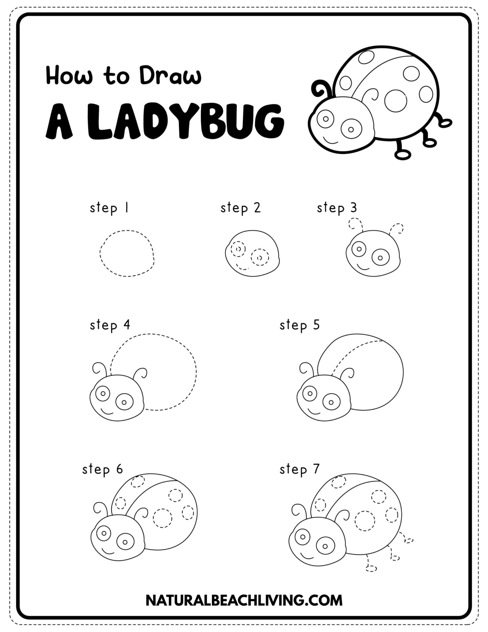 How to Draw Bugs and Insects - Natural Beach Living