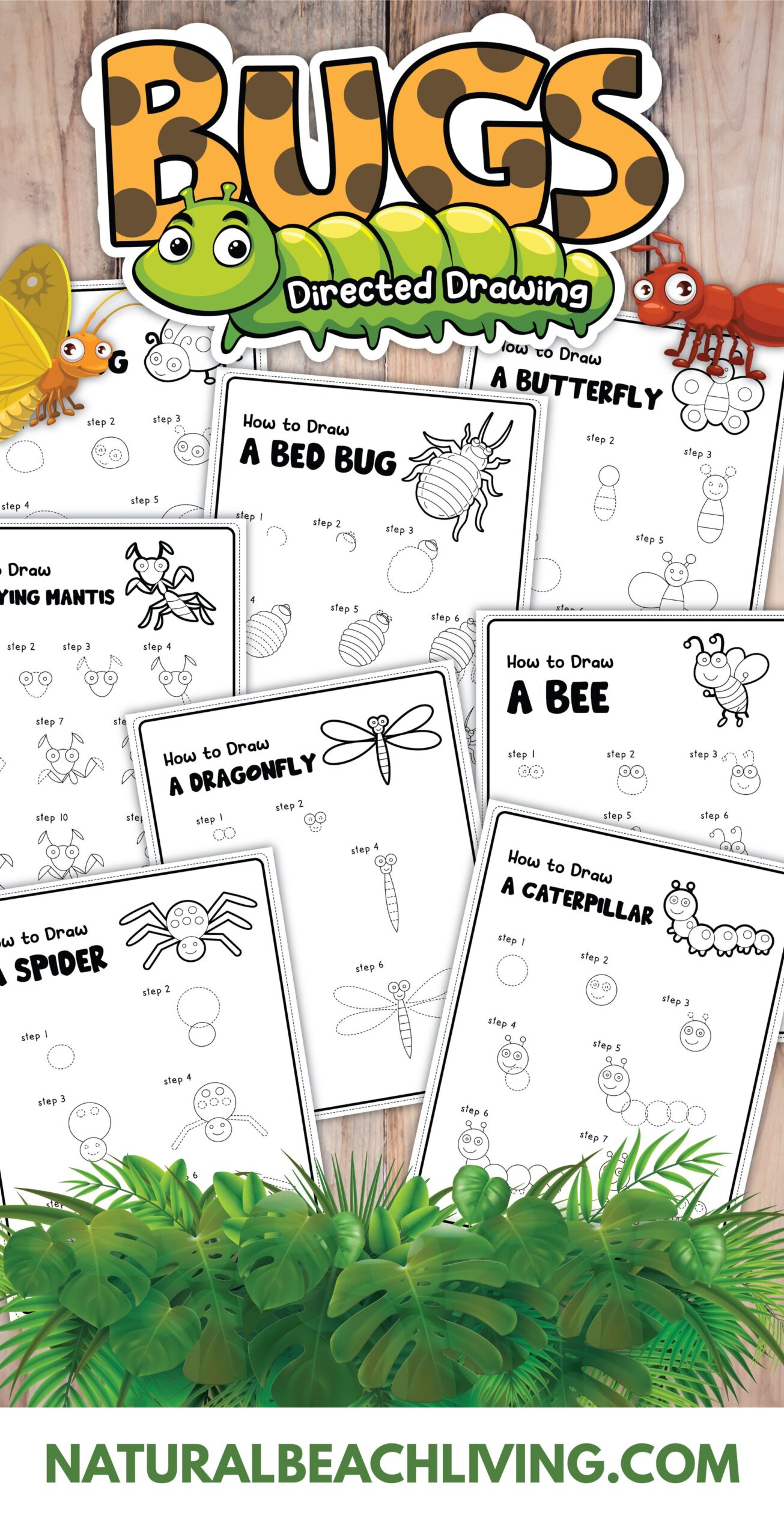 How to Draw Bugs and Insects - Natural Beach Living