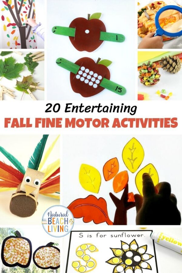 35+ Fall Fine Motor Activities for Preschoolers - Natural Beach Living