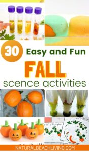 35+ Fall Science Project Ideas for Kids - Natural Beach Living