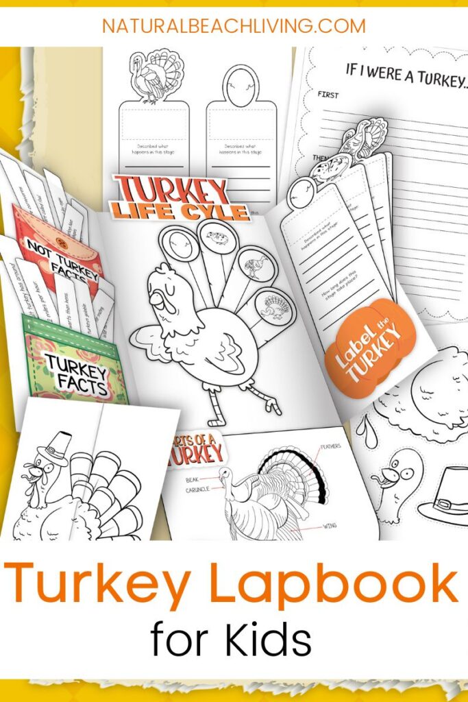 Turkey Lapbook - Natural Beach Living